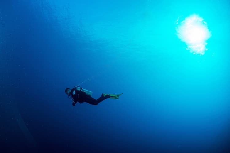 Apo Reef Natural Park